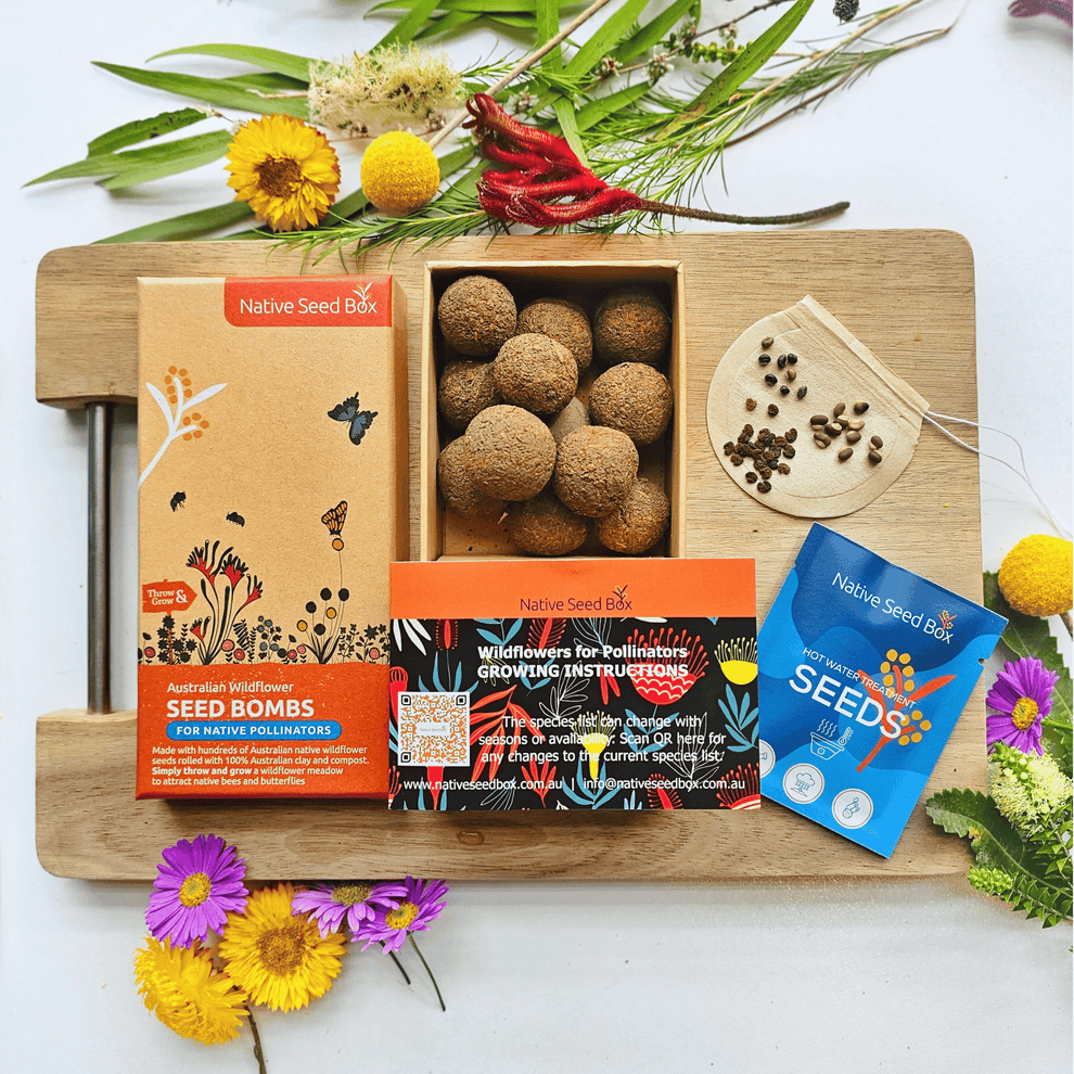 Australian Wildflower Seed Bombs | Native Seed Box – Newham Flower Farm